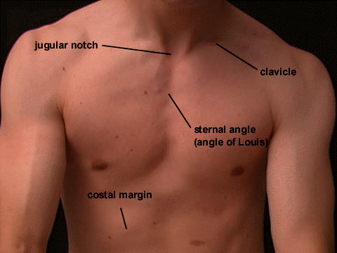 ข้อความจากต่างมิติ-ก้าวกระโดดทางวิวัฒนาการครั้งยิ่งใหญ่ของมนุษยชาติ ...
