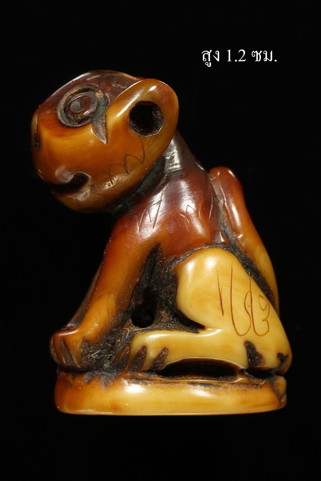 เขี้ยวเสือหลวงพ่อปานวัดคลองด่าน | พลังจิต